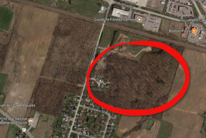 Save The Woodlot – A Little Insight & History | Grimsby Citizens For ...